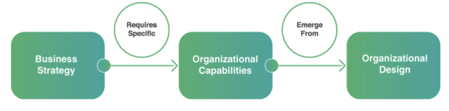 The Critical Agile Organization Design Guideline