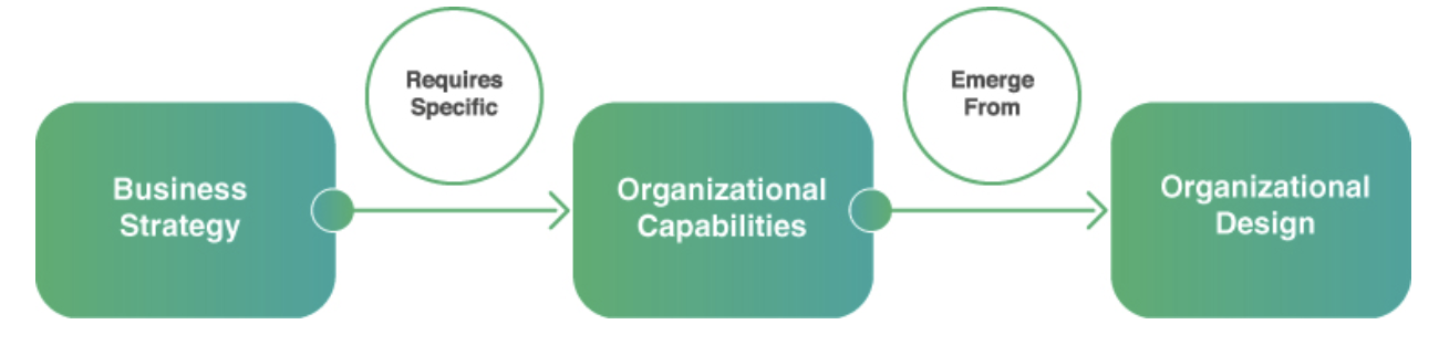 The Critical Agile Organization Design Guideline