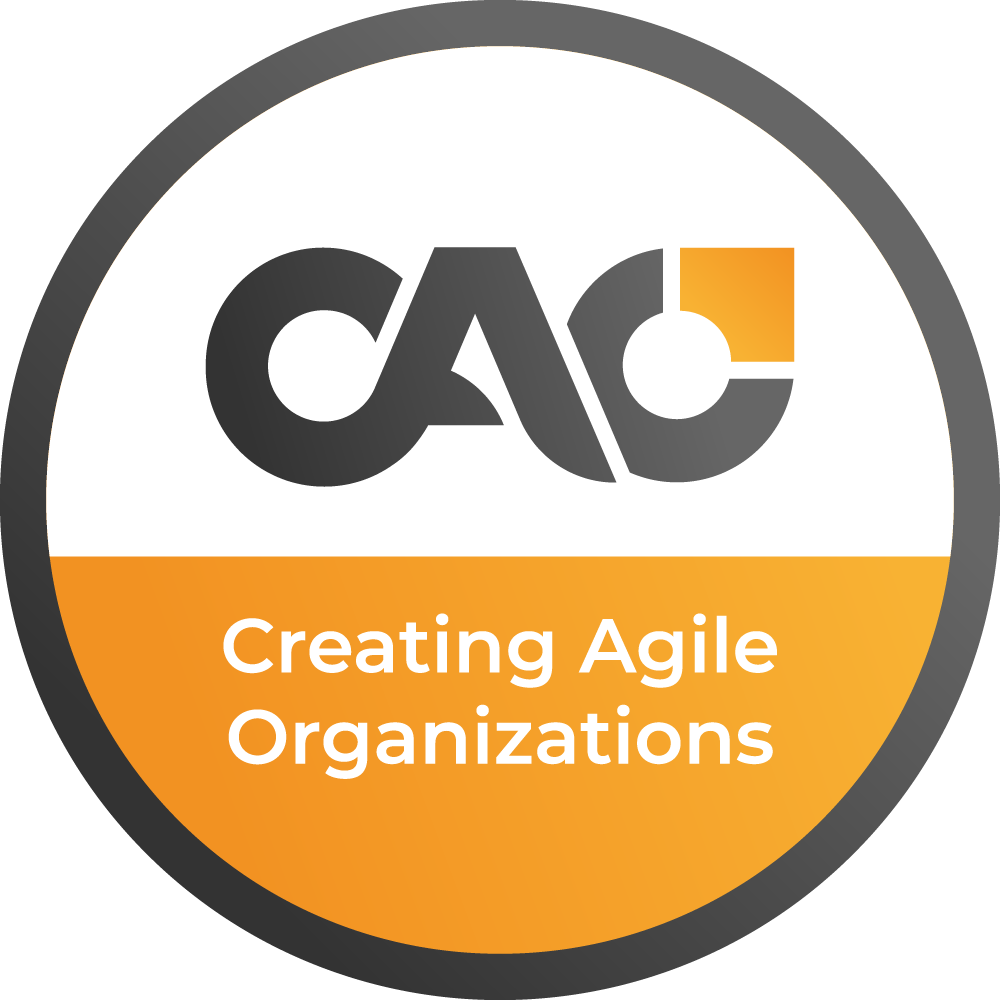 Creating Agile Organizations | Certified CAO Workshop Creating Agile Organizations | Certified CAO Workshop
