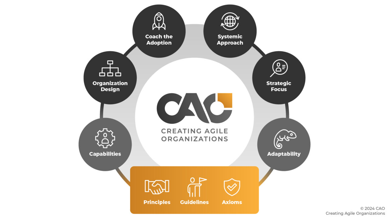 Learn About Agile Organizations Embrace Strategic Agility